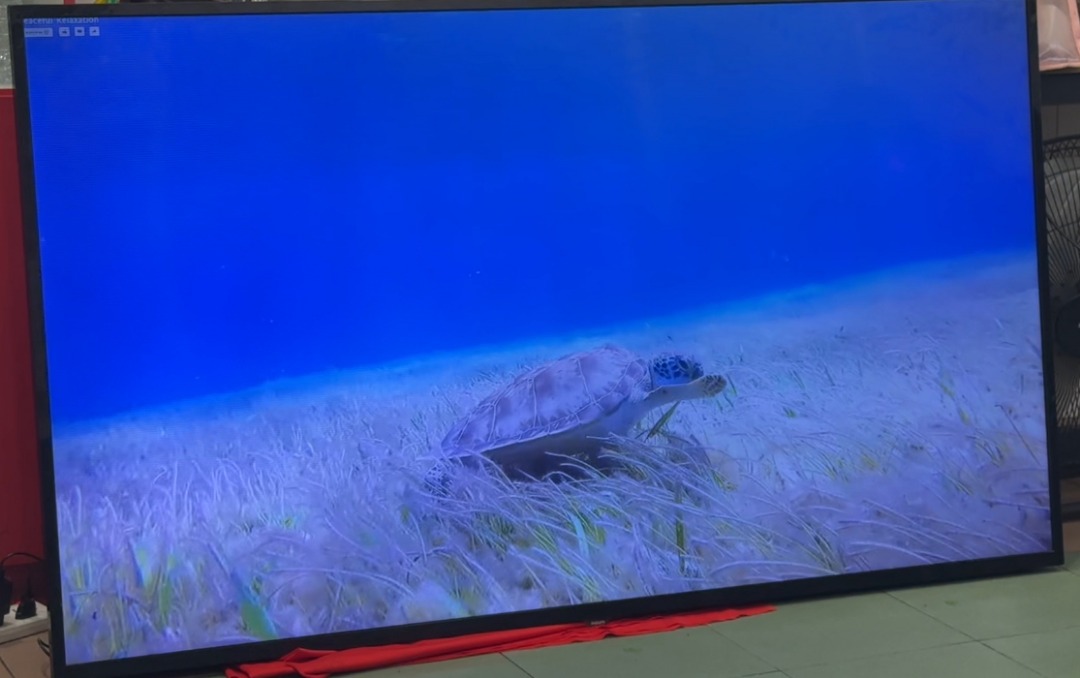 PHILIPS 65" Inch LED TV - 65PUT6023 (USED), TV & Home Appliances, TV ...