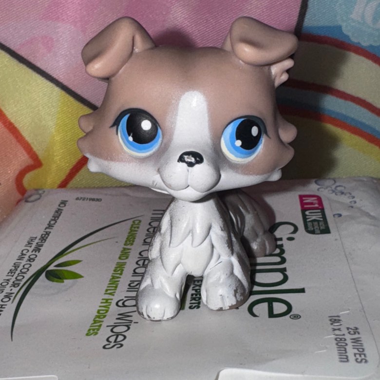 Littlest Pet Shop LPS Auth Collie #67, Hobbies & Toys, Memorabilia ...