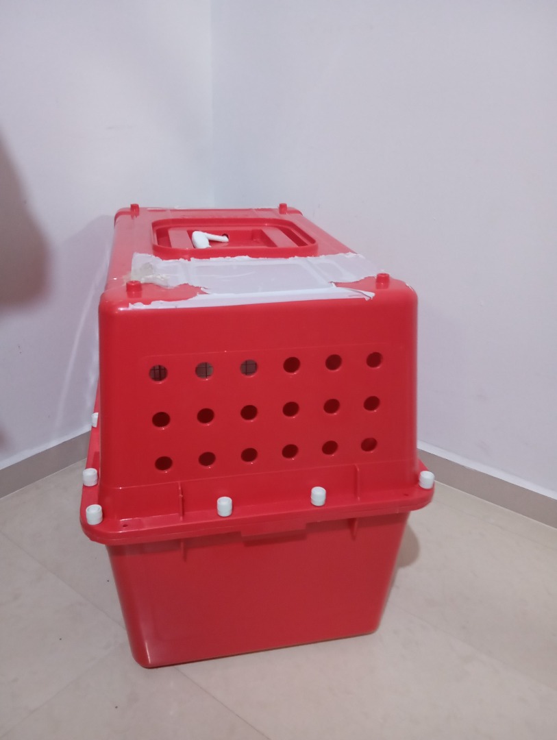 Red Cat/Dog box, Pet Supplies, Homes & Other Pet Accessories on Carousell