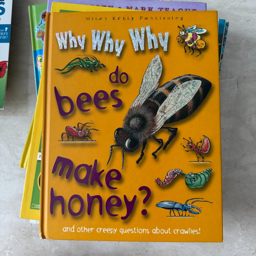 Why Do Bees Make Honey?, Buku & Alat Tulis, Buku Anak-Anak di Carousell