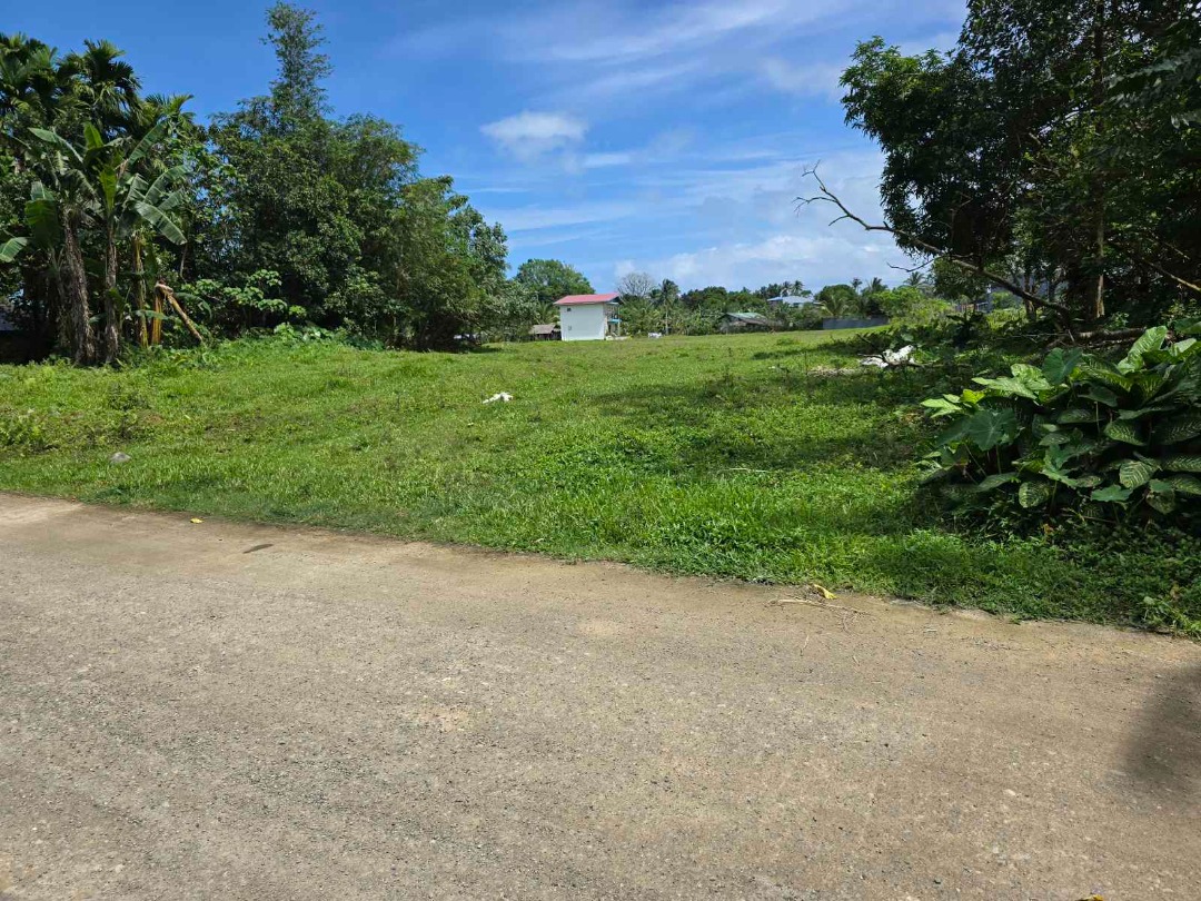5,090 sqm Residential/Farm Lot deal for Subdividing and farming FOR ...