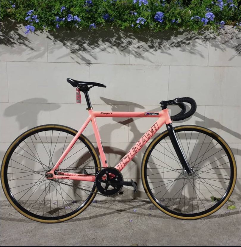 Tsunami ranger bike frame w Badge, Sports Equipment, Bicycles & Parts ...