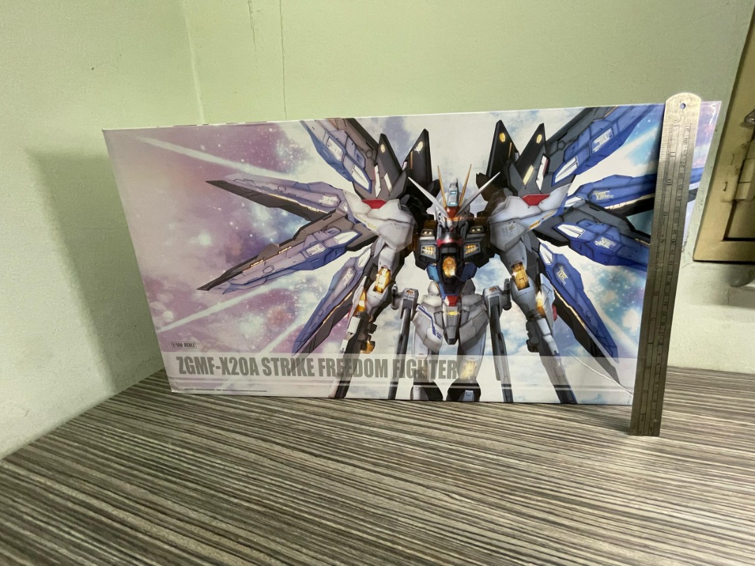 DABAN Sakura Pink MG strike freedom MB looking 8802, Hobbies & Toys ...