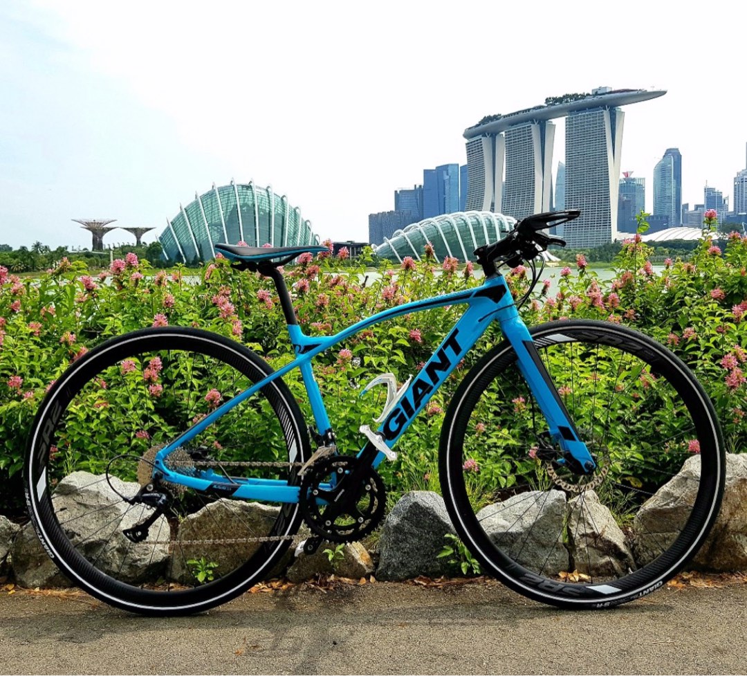Giant Hybrid Fastroad SLR 2 series, Sports Equipment, Bicycles & Parts ...