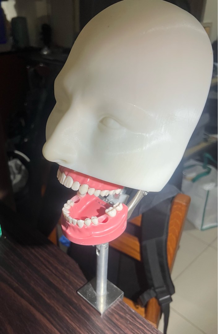 Phantom Head, Health & Nutrition, Medical Supplies & Tools on Carousell