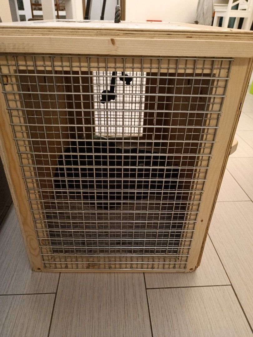 空運寵物木箱 符合空運用 貓狗木箱 air freight wooden pets dog cat box container cage ...
