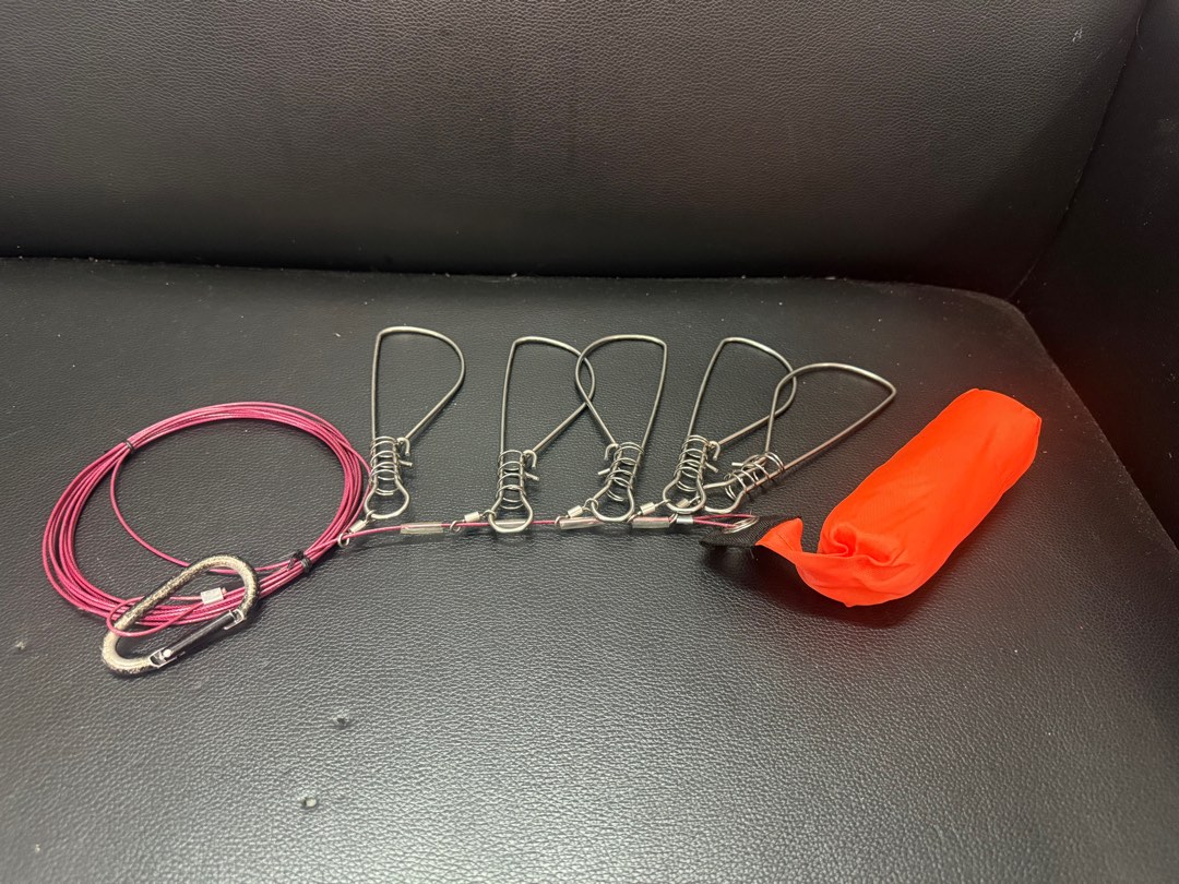 Fish Stringers, Sports Equipment, Fishing on Carousell