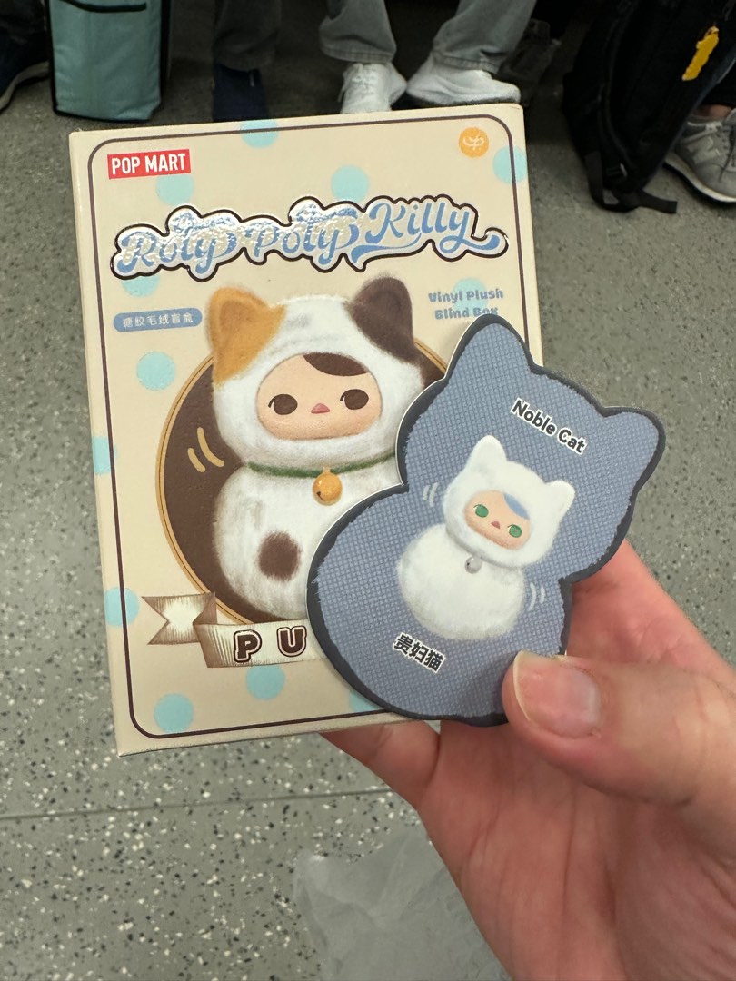 Roly poly kitty noble cat still in seal, Hobbies & Toys, Toys & Games ...