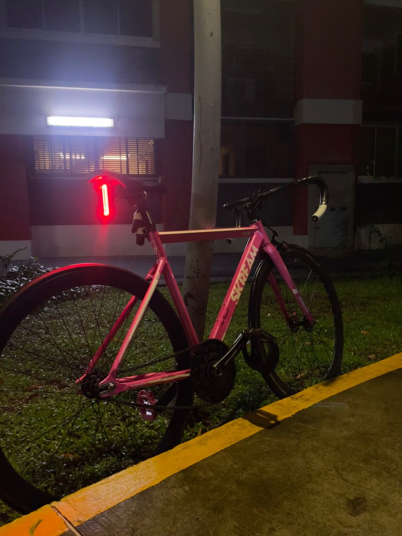 SKREAM Anodiz Pink Fixie FS/FB, Sports Equipment, Bicycles & Parts ...