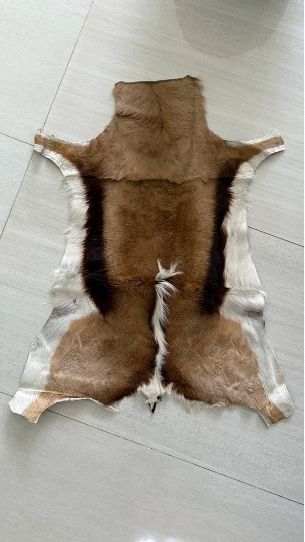Springbok Hide Rugs from South Africa, Furniture & Home Living, Home ...
