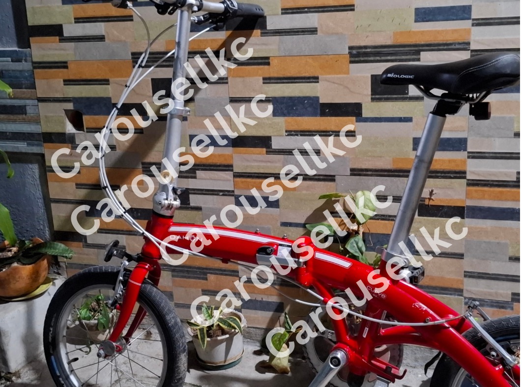 Dahon Curve D3 16" Folding Bike, Sports Equipment, Bicycles & Parts ...