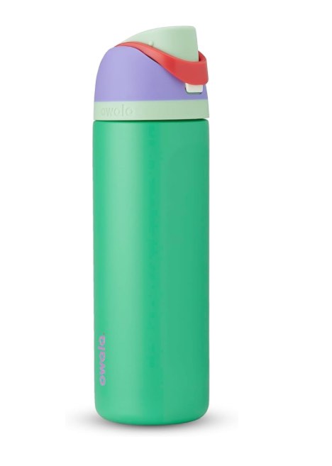 [DISNEY PRINCESSES] Owala Free Sip: Ariel (PLEASE CHAT TO PURCHASE ...