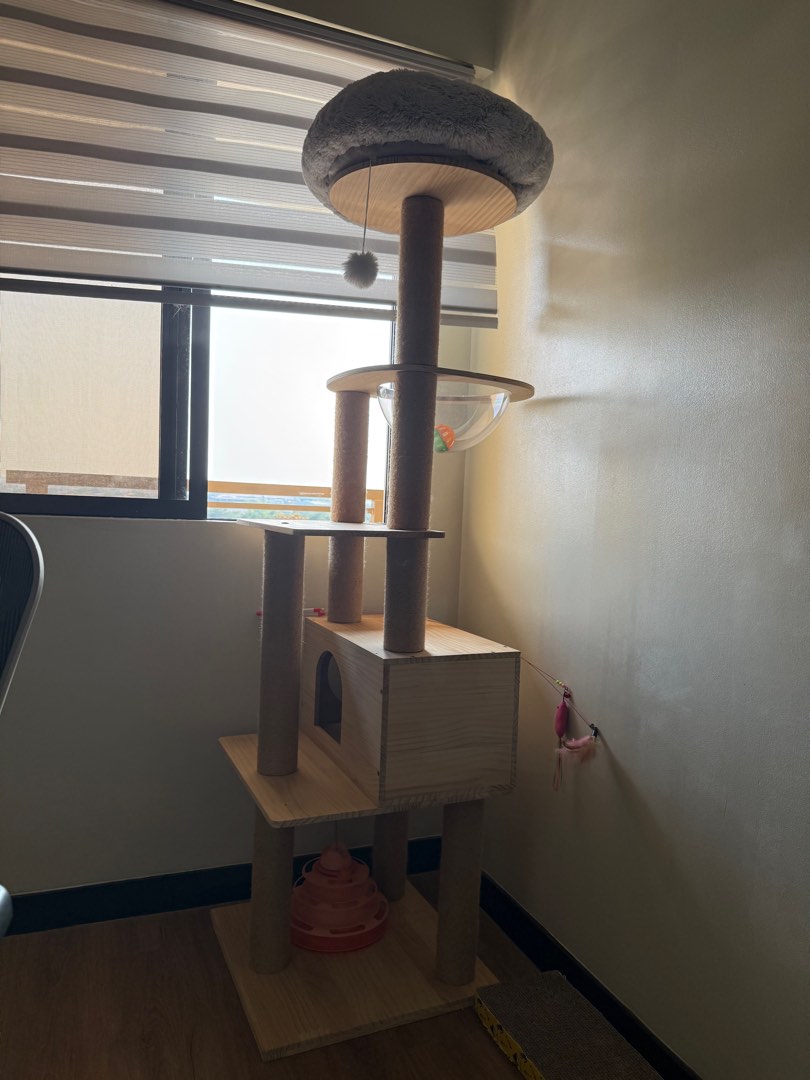 Cat Condo - (Osti Solid Wood Cat Tree), Furniture & Home Living ...