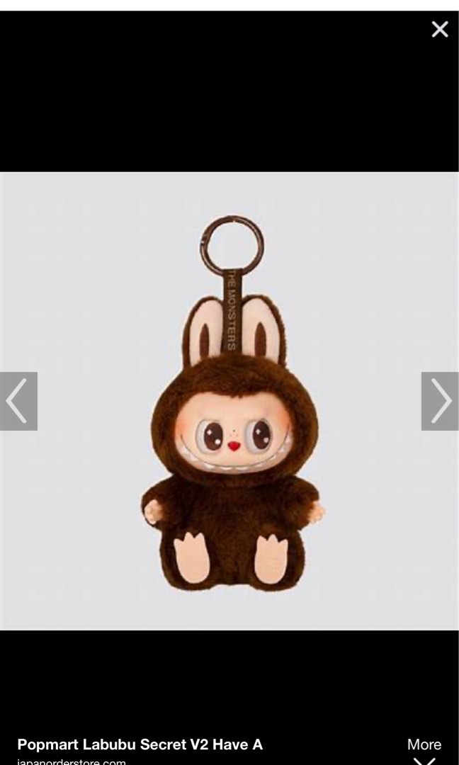 labubu version 2 ( Limited edition), Luxury, Accessories on Carousell