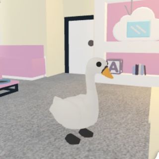 Adopt Me Old Pets (Swan, Arctic Fox, Shrew, Platypus, Brown Bear, Hyena ...