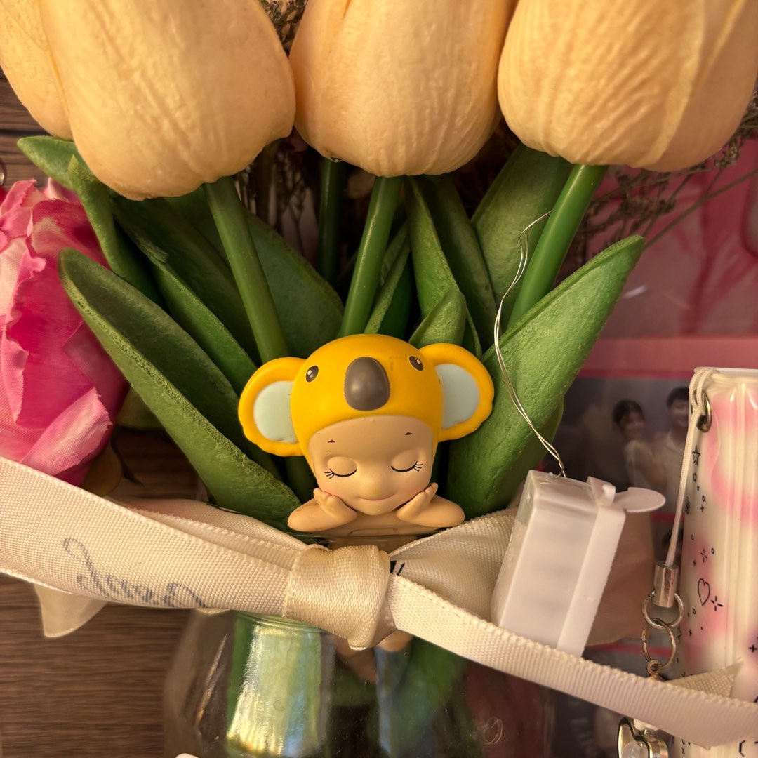 sonny angel dreaming hipper koala, Hobbies & Toys, Toys & Games on ...