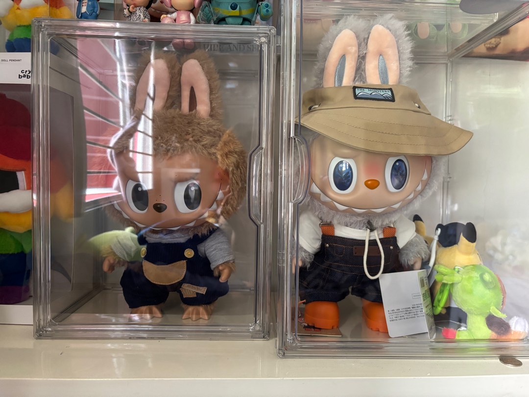 Labubu with acrylic box, Hobbies & Toys, Toys & Games on Carousell