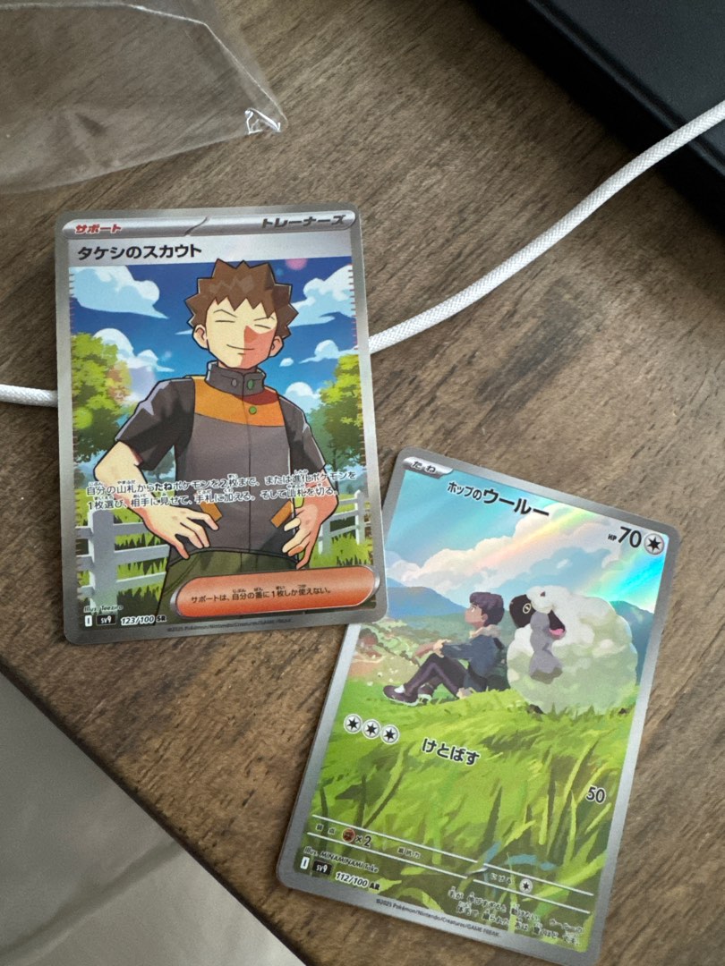 Pokemon Japanese Battle partners/Journey together Hop’s wooloo AR and ...