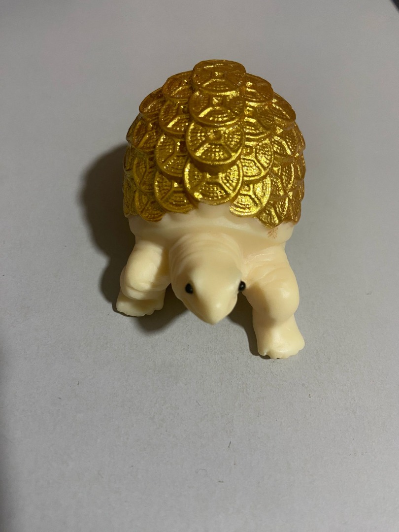 象牙果， 金钱龟 （Ivory nut, Golden coin turtle）, Hobbies & Toys, Memorabilia ...
