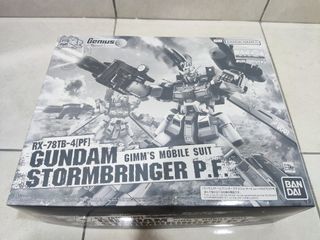 New PB MG Gundam Stormbringer Pf, Hobbies & Toys, Toys & Games on Carousell