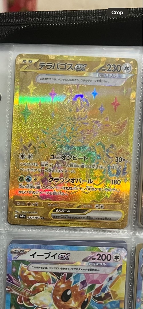 Terapagos Ex 237 Japanese Pokemon Terestal Festival Gold, Hobbies ...