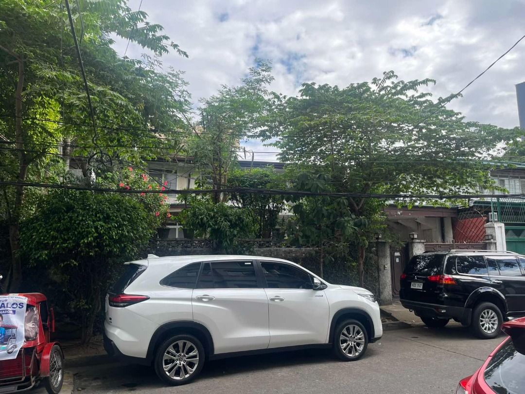 375 SQM Lot with Usable Structure in Brgy. Plainview, Mandaluyong City ...