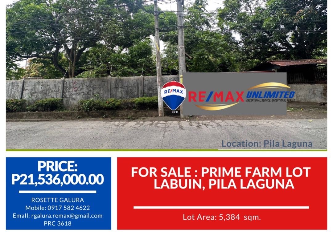 For Sale Prime Farm Lot in Labuin, Pila, Laguna, Property, For Sale ...