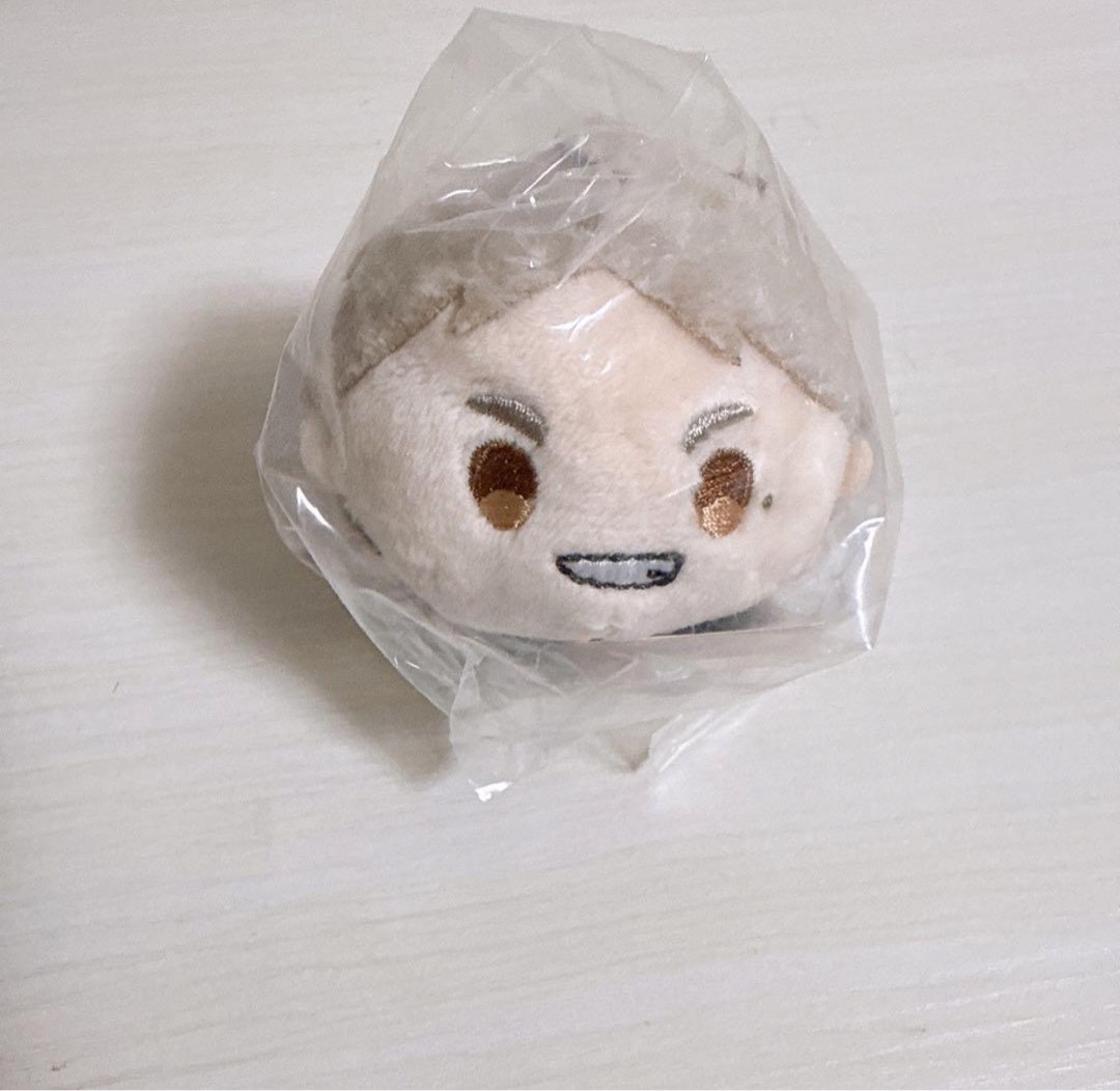 Haikyuu!! Sugawara Mochi Plush [STBO] FREE SF, Hobbies & Toys ...