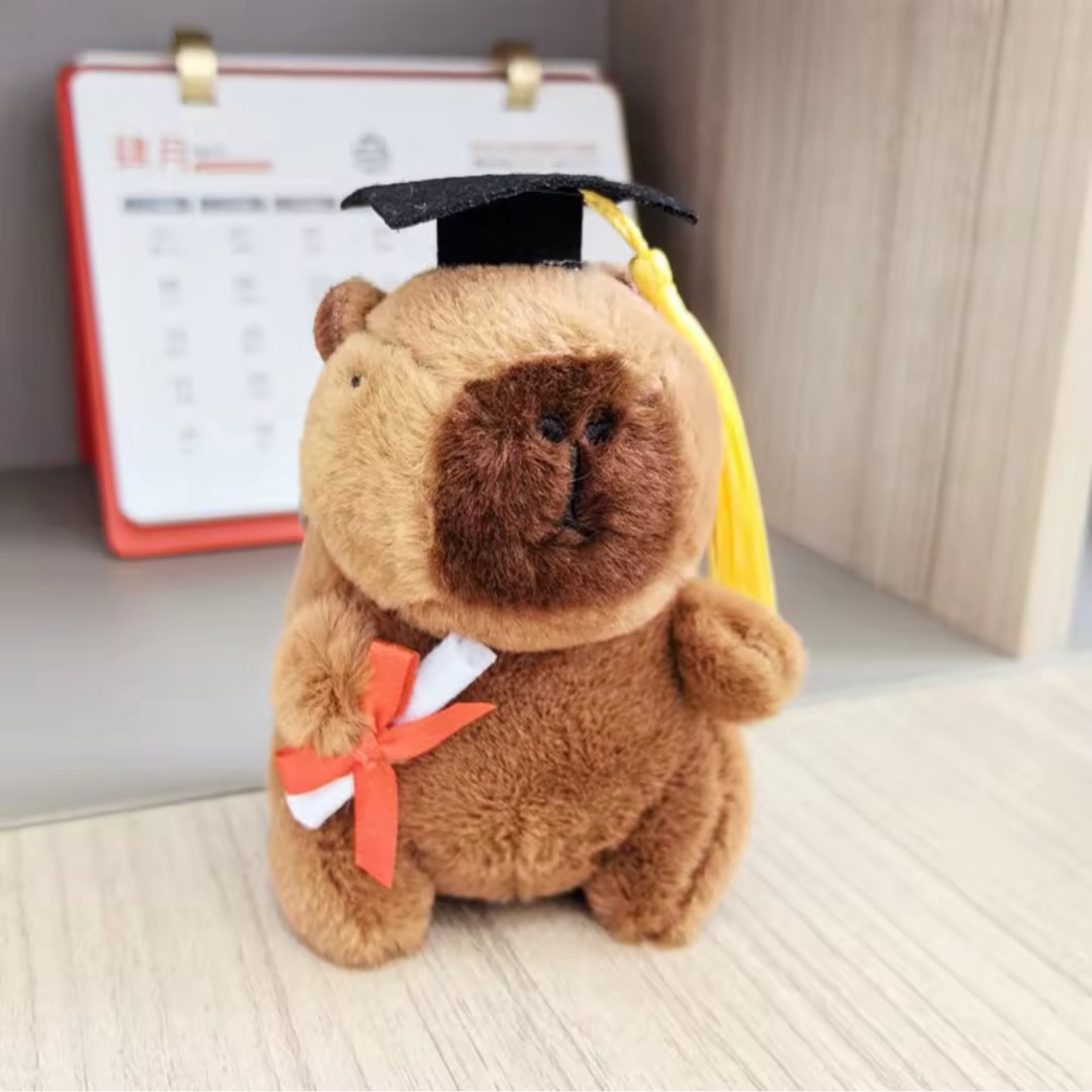 Capybara graduation keychain, Hobbies & Toys, Toys & Games on Carousell