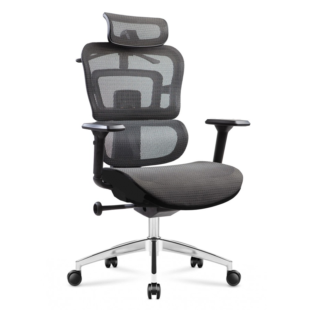 Ergodynamic HUMAN V4 Hybrid Korean Mesh Chair, Executive Mesh Chair ...