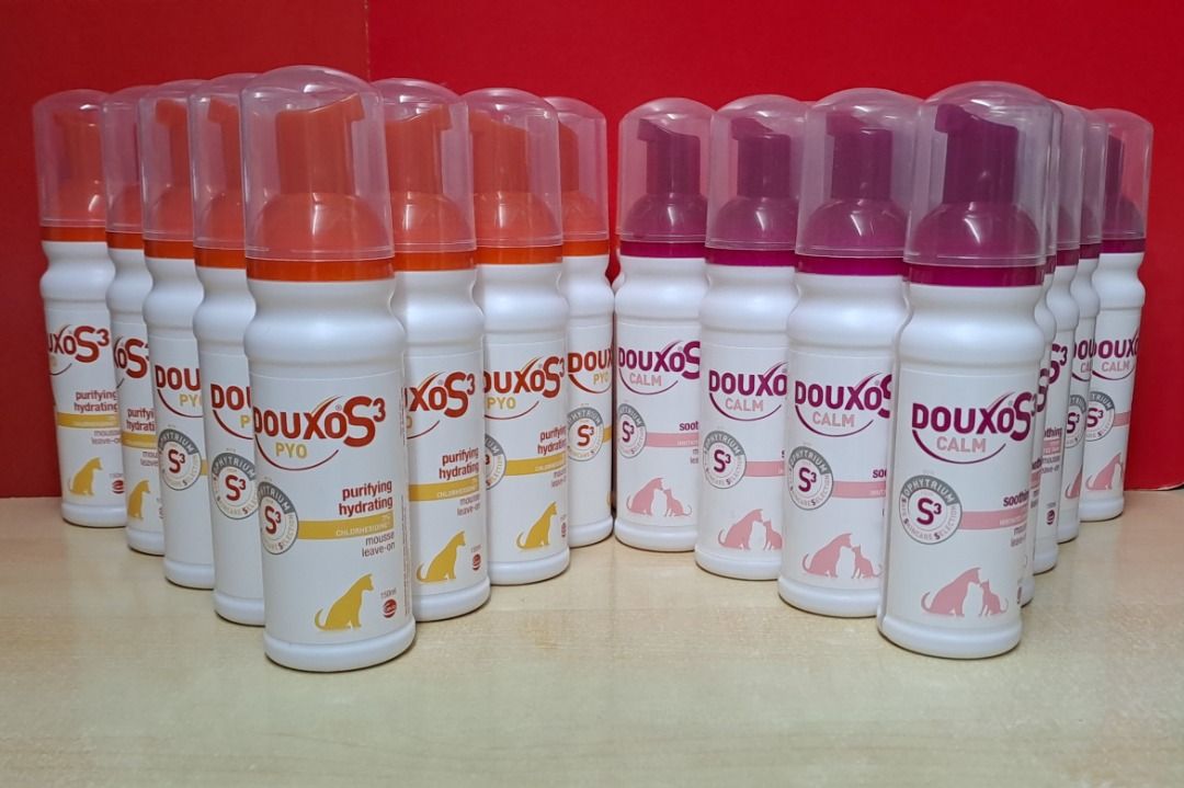 Frontline Plus for Cats 6 支装 & Dogs 6支装 , 寵物用品, 寵物家品及其他 - Carousell