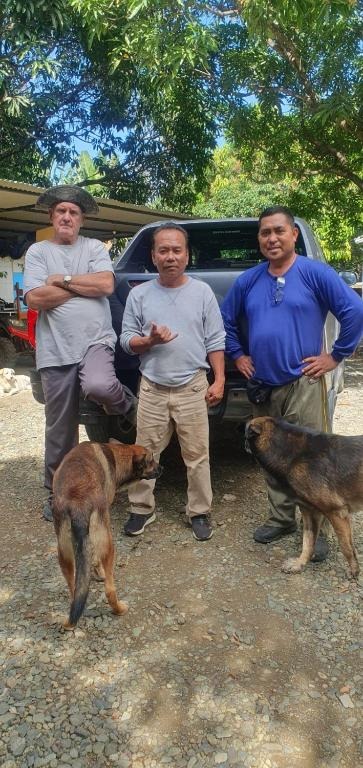 Mango Farm Resort, Property, For Sale, Apartments & Condos on Carousell