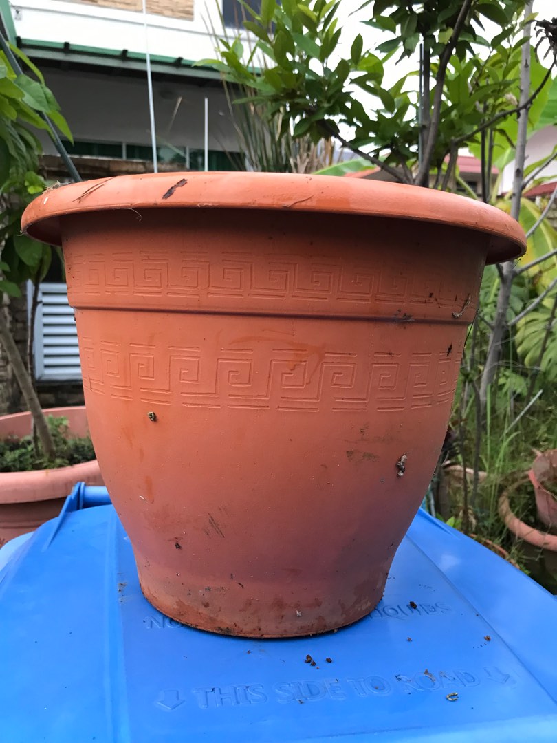 Round plant pot 28cm Made in Italy, Furniture & Home Living, Gardening ...
