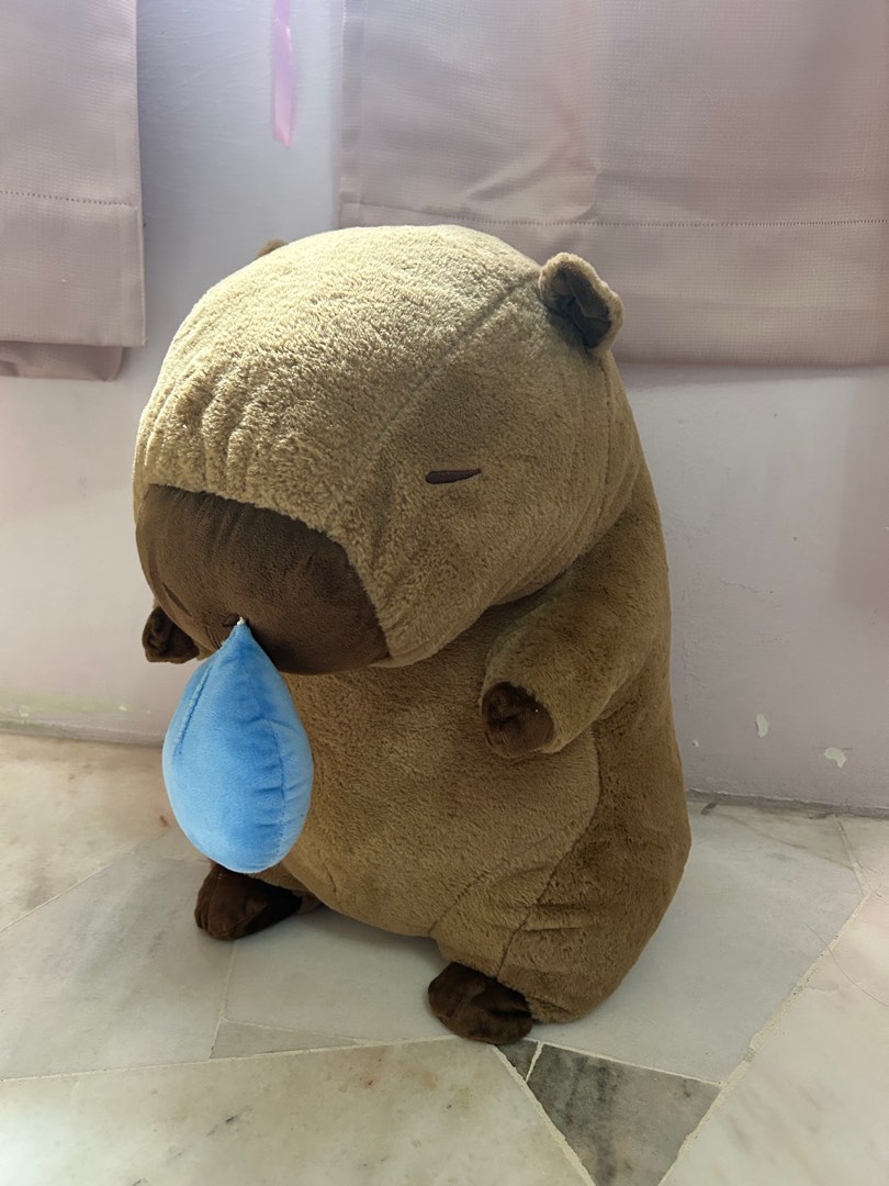 Capybara 60cm with Snot, Hobbies & Toys, Toys & Games on Carousell