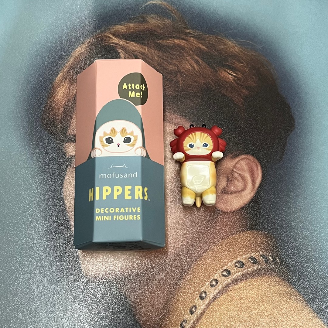 [BRAND NEW] SECRET Mofusand Hipper Official, Hobbies & Toys, Toys ...