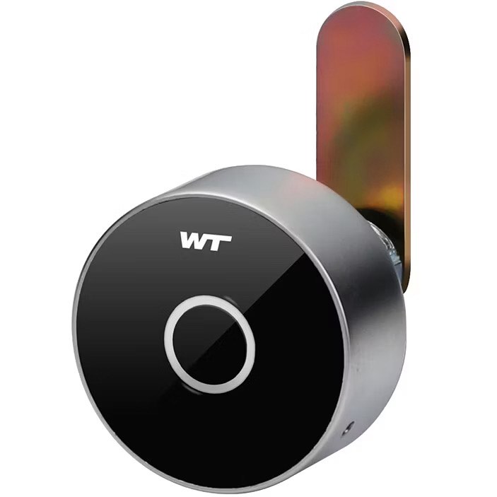 Fingerprint Letterbox WT Lock, Furniture & Home Living, Security ...