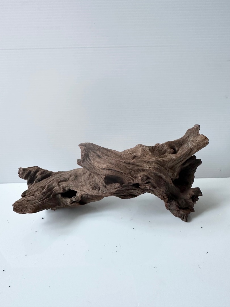 Natural beautiful shape driftwood for fish shrimp tank bird cage setup ...