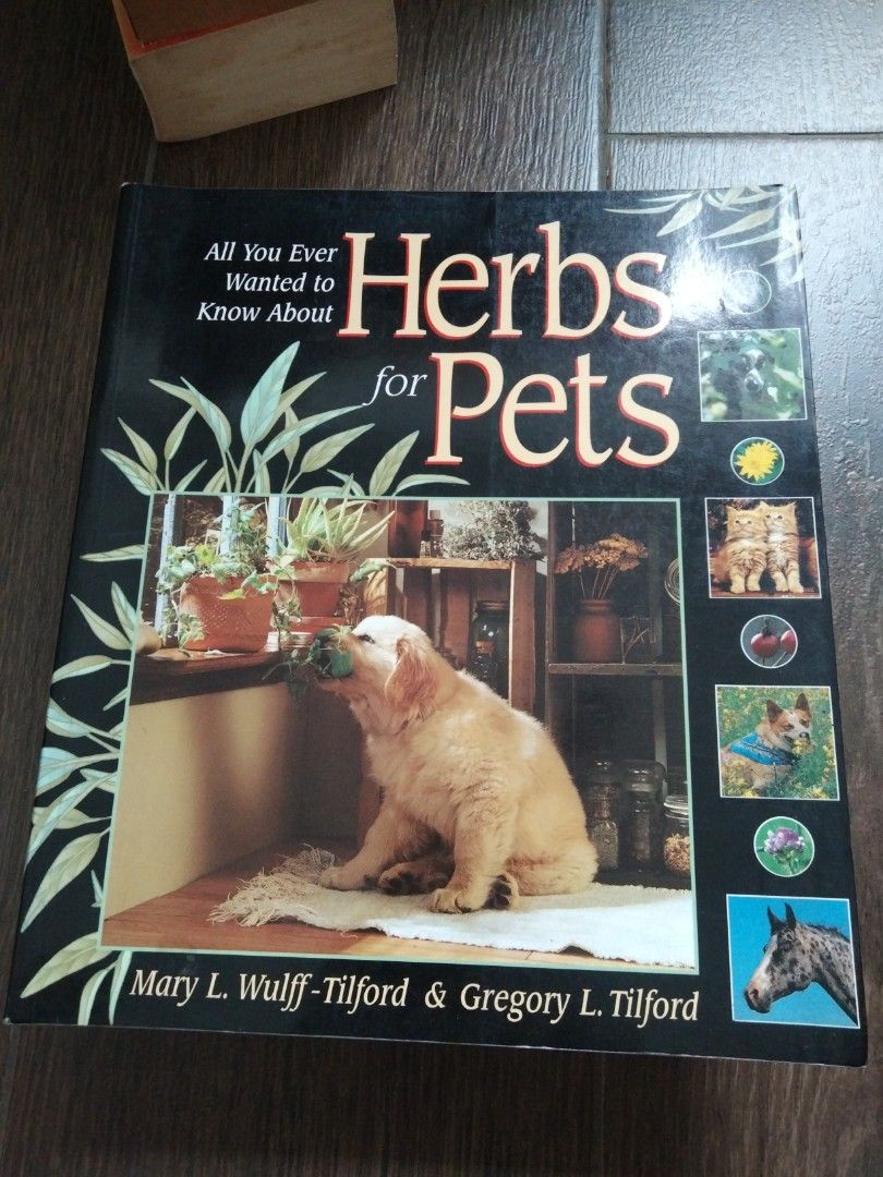 All Things Dog, Everything You Need To Know About Dogs, Herbs For Pets ...