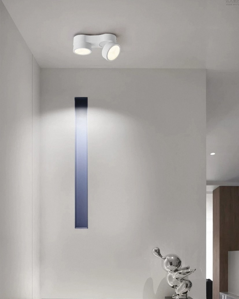 BNIB LED dual halo surface downlight double head downlight, Furniture ...