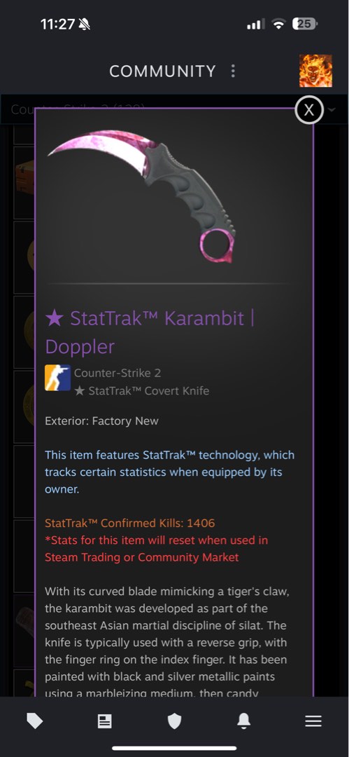 Cs2 csgo karambit knife doppler Stattrak FN phase 2 p2, Video Gaming, Gaming Accessories, In ...