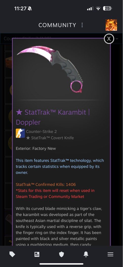 Cs2 csgo karambit knife doppler Stattrak FN phase 2 p2, Video Gaming, Gaming Accessories, In ...