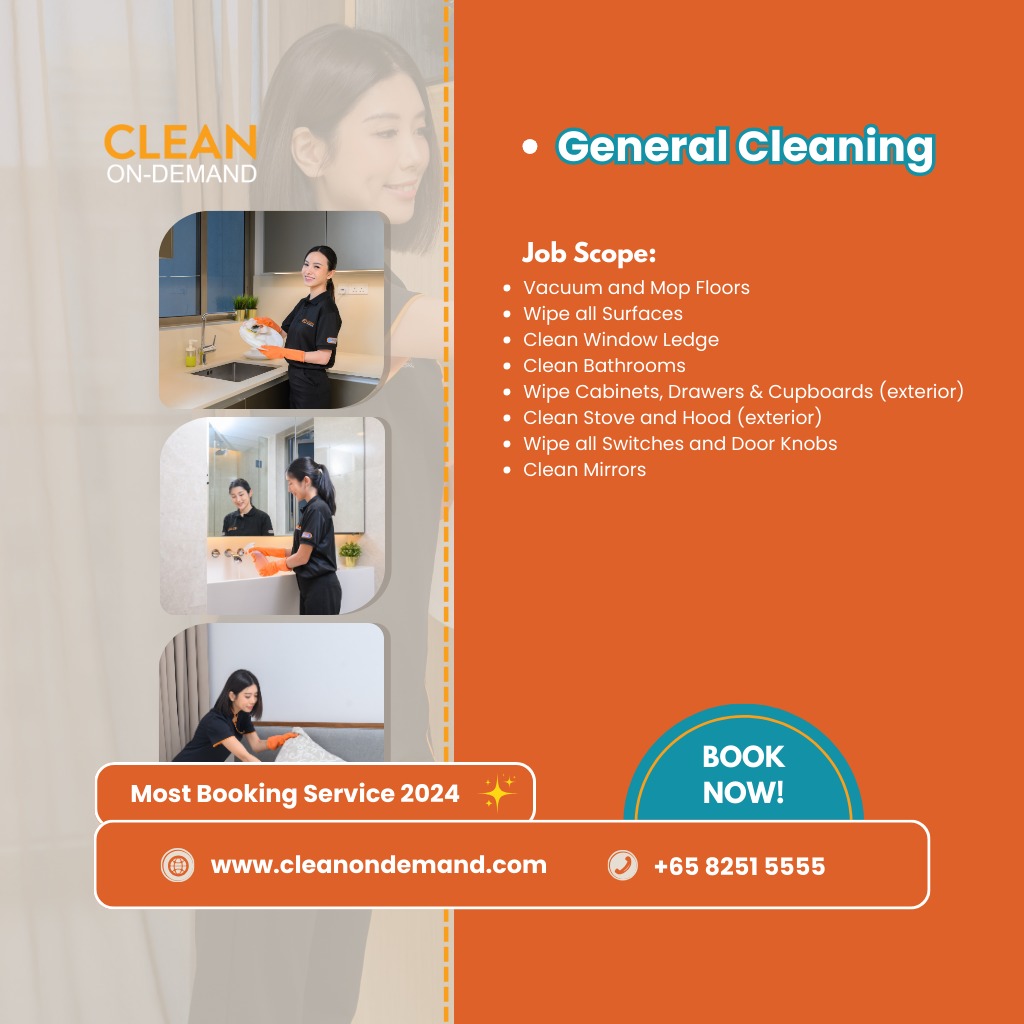 GENERAL CLEANING / HOUSE CLEANING / WIPE CABINETS (EXTERIOR) / BATHROOM ...