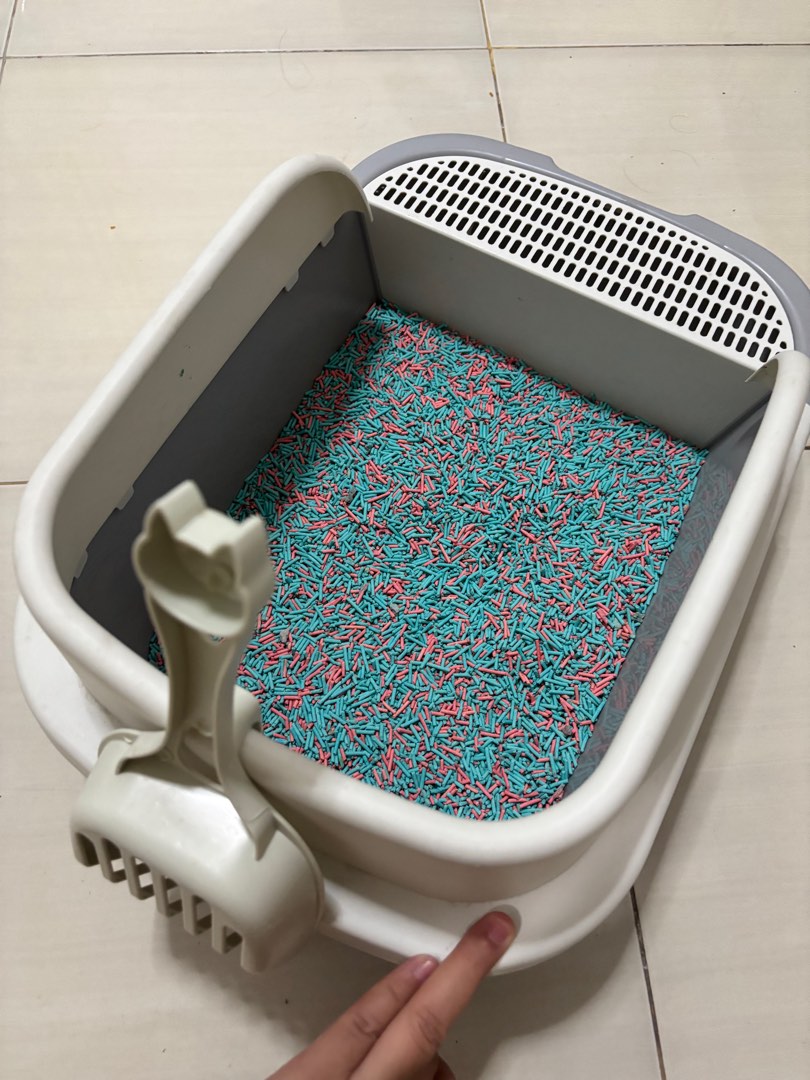 Keperluan kucing (literbox), Perlengkapan Hewan, Aksesoris Hewan di ...