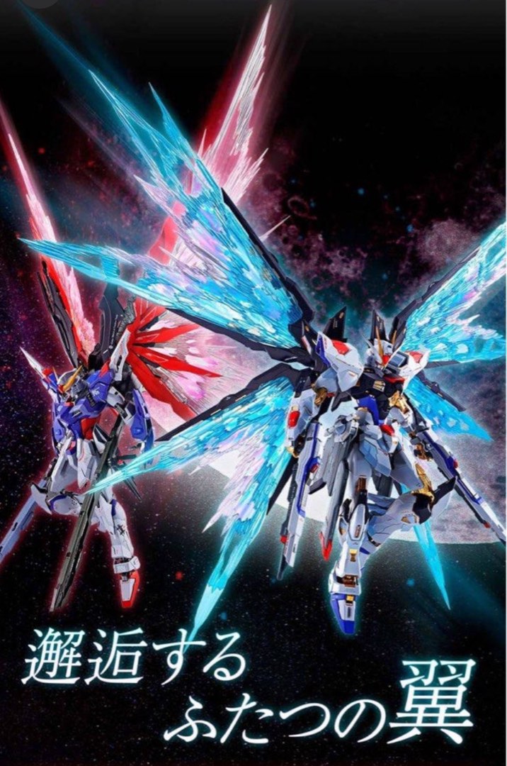 Metal build strike freedom soul blue & Destiny soul red, 興趣及遊戲, 玩具 & 遊戲 ...
