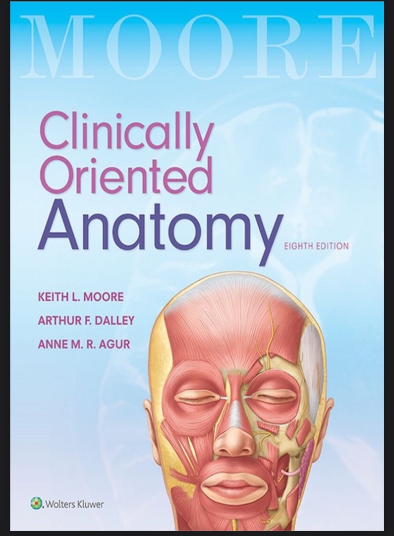 Moore Anatomy Softcopy Hobbies And Toys Books And Magazines Textbooks On Carousell