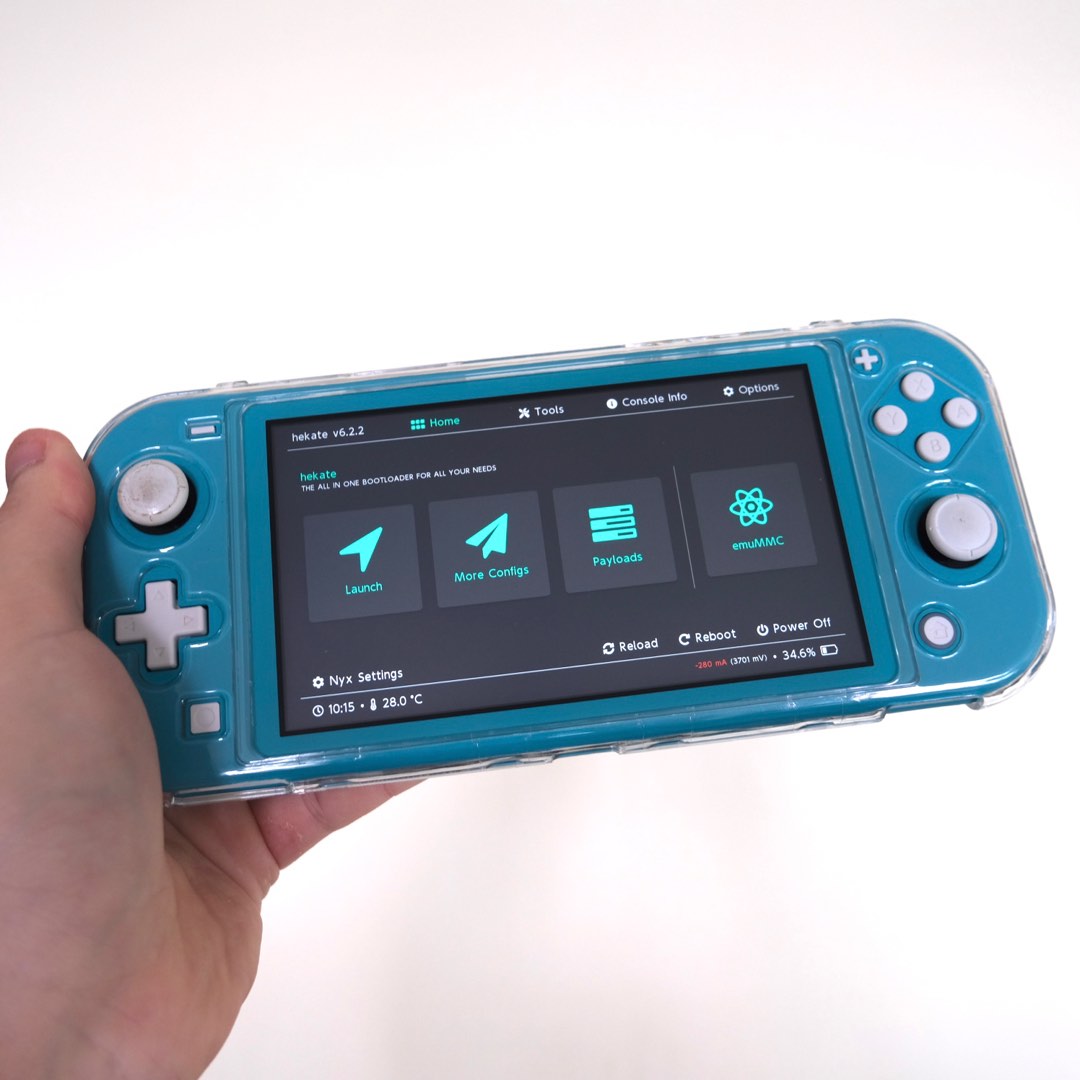 Nintendo Switch Lite Modded, Video Gaming, Video Game Consoles ...