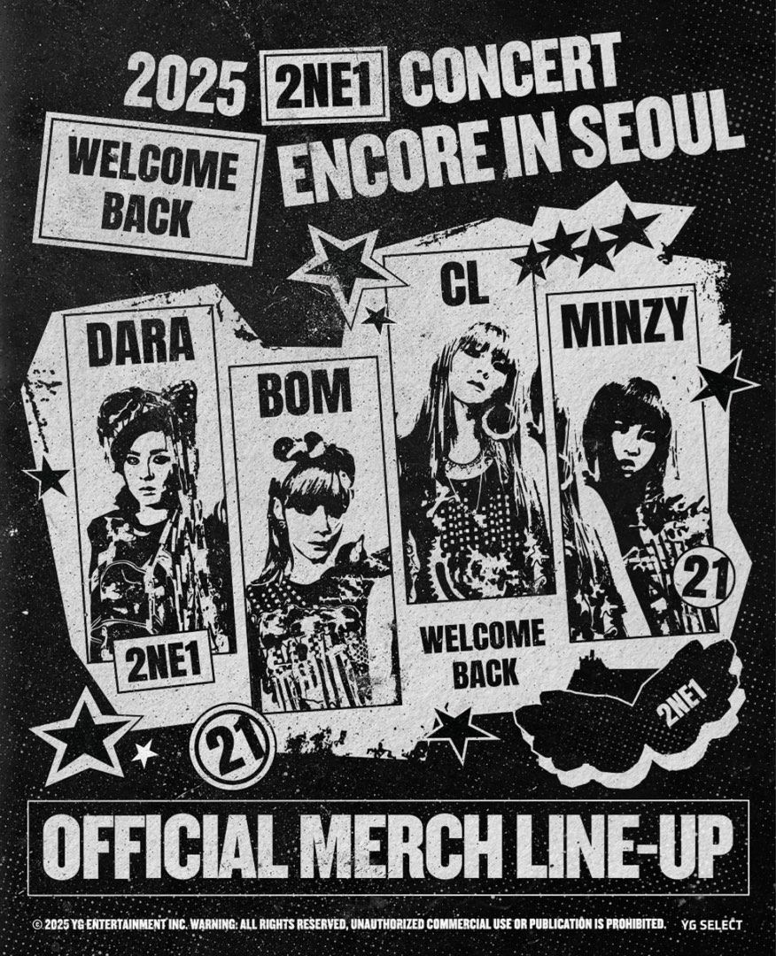 (PO) 2NE1 Welcome Back Encore Concert Merch, Hobbies & Toys, Memorabilia & Collectibles, K-Wave ...