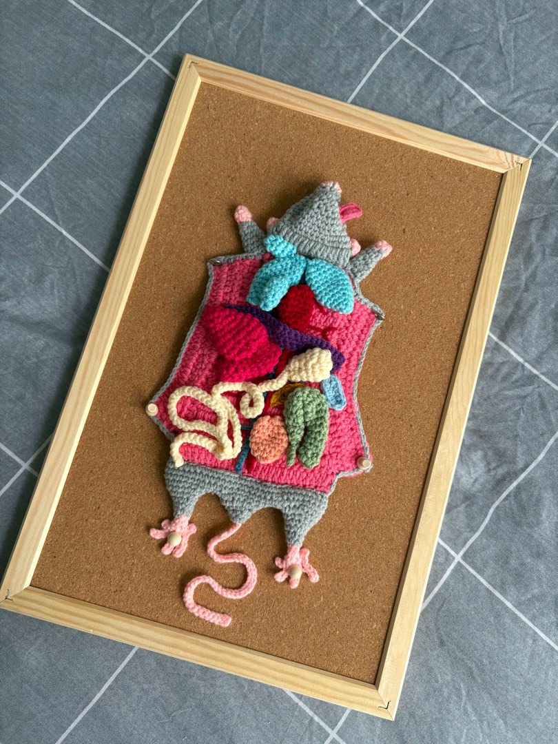 crochet rat dissection frame portrait, Hobbies & Toys, Stationery ...