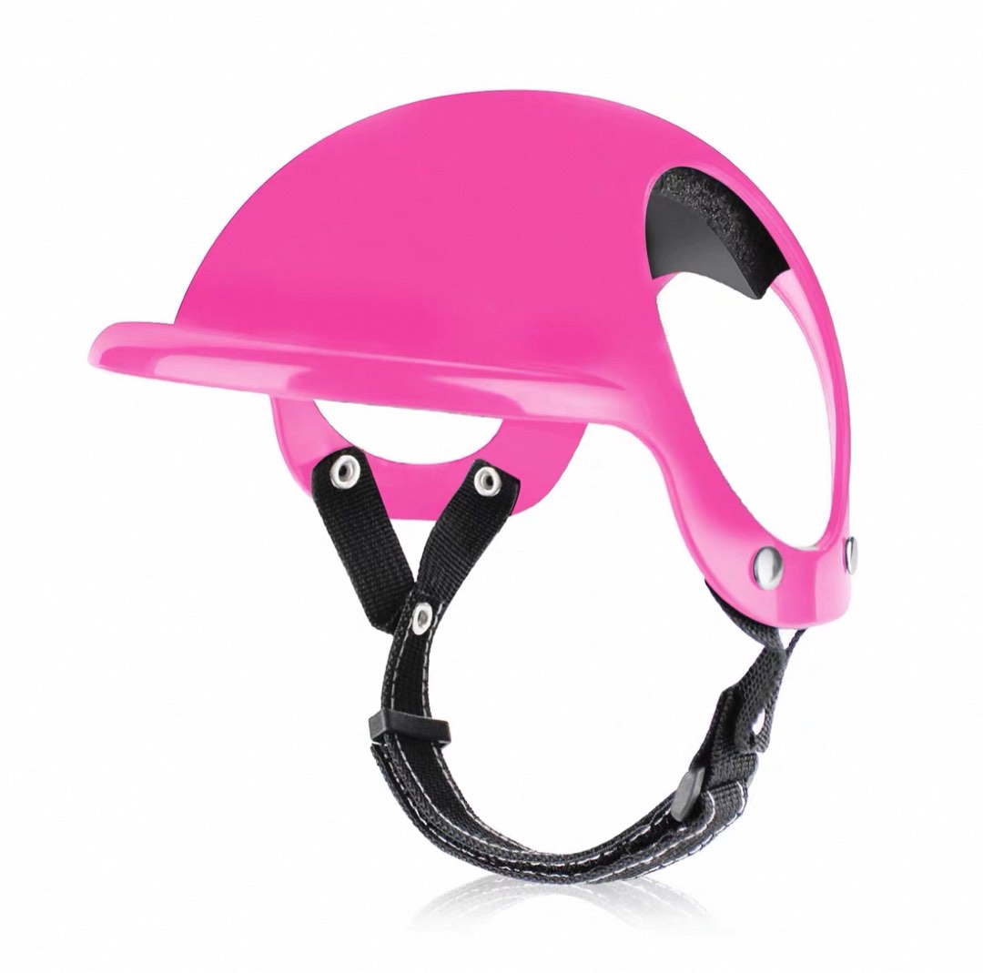 Dog Helmet, Pet Supplies, Homes & Other Pet Accessories on Carousell