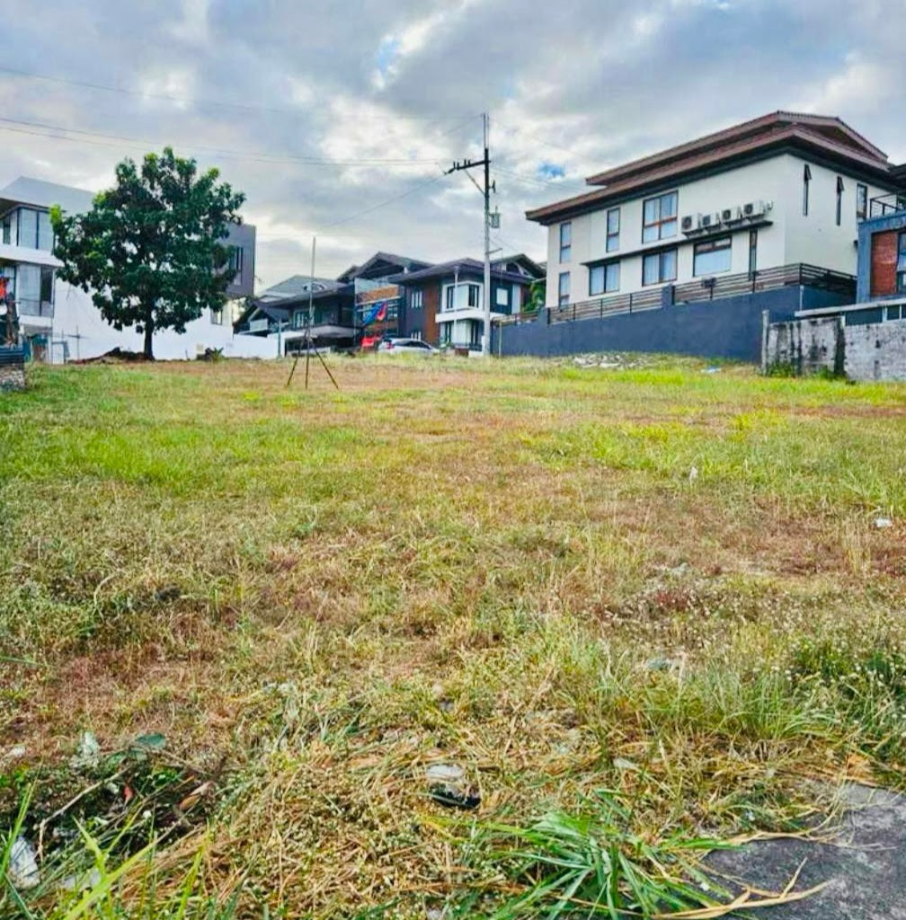 FOR SALE - 2 Adjacent Residential Vacant Lot in Tivoli Royale, Quezon ...